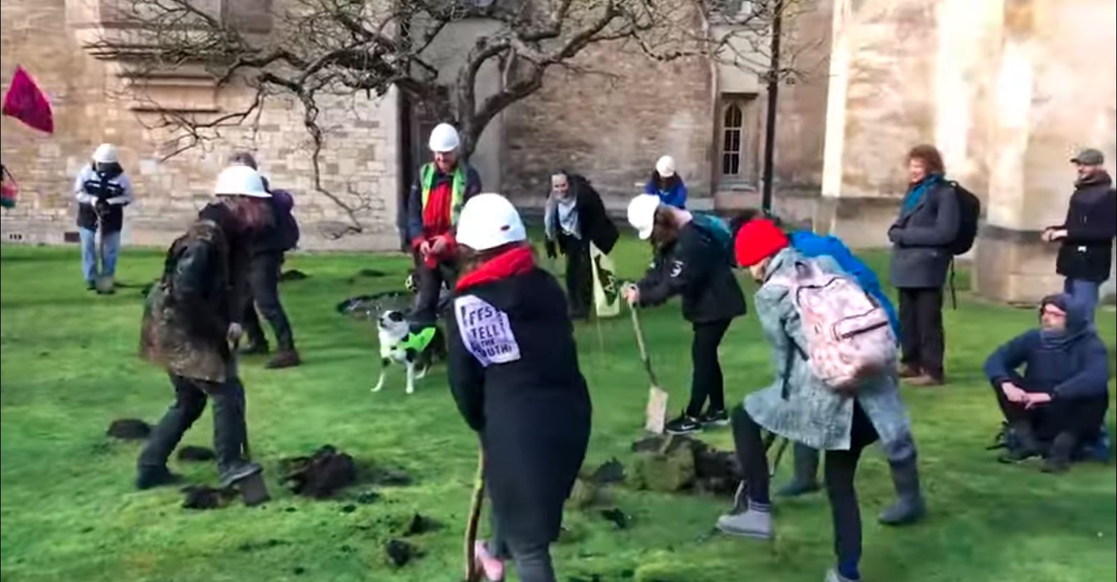 Why they rebel…| JCD Clark | The Critic Magazine