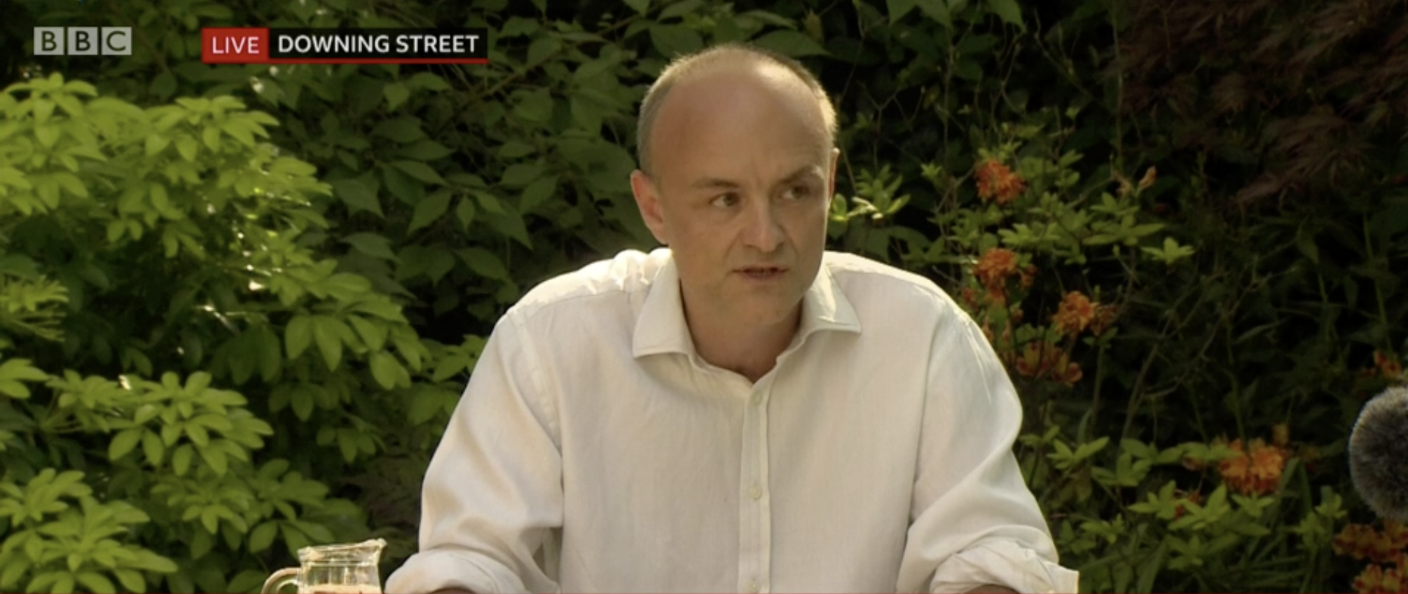 You’ll need to have your eyes tested | David Scullion | The Critic Magazine