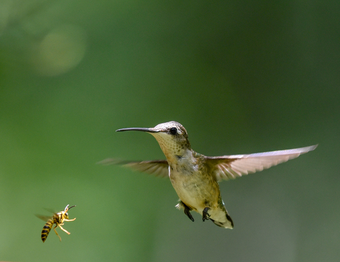 A conflict of worldviews: compulsory sex education | Marc Polonsky ...