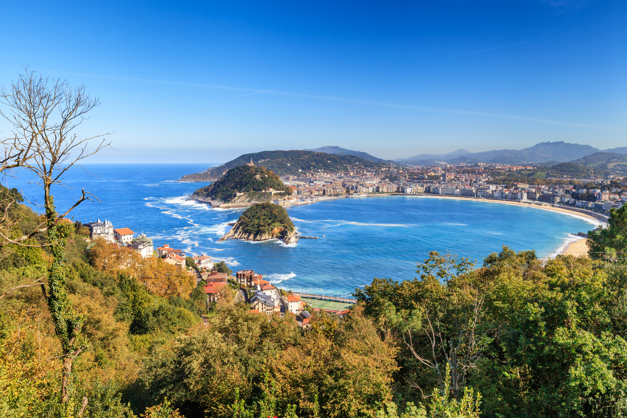 Where in the world | Dan Synge | The Critic Magazine