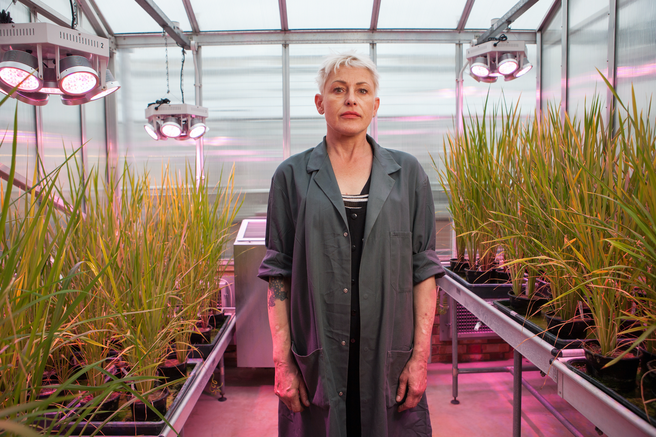 Scars: stories of human resilience | Laura Dodsworth | The Critic Magazine