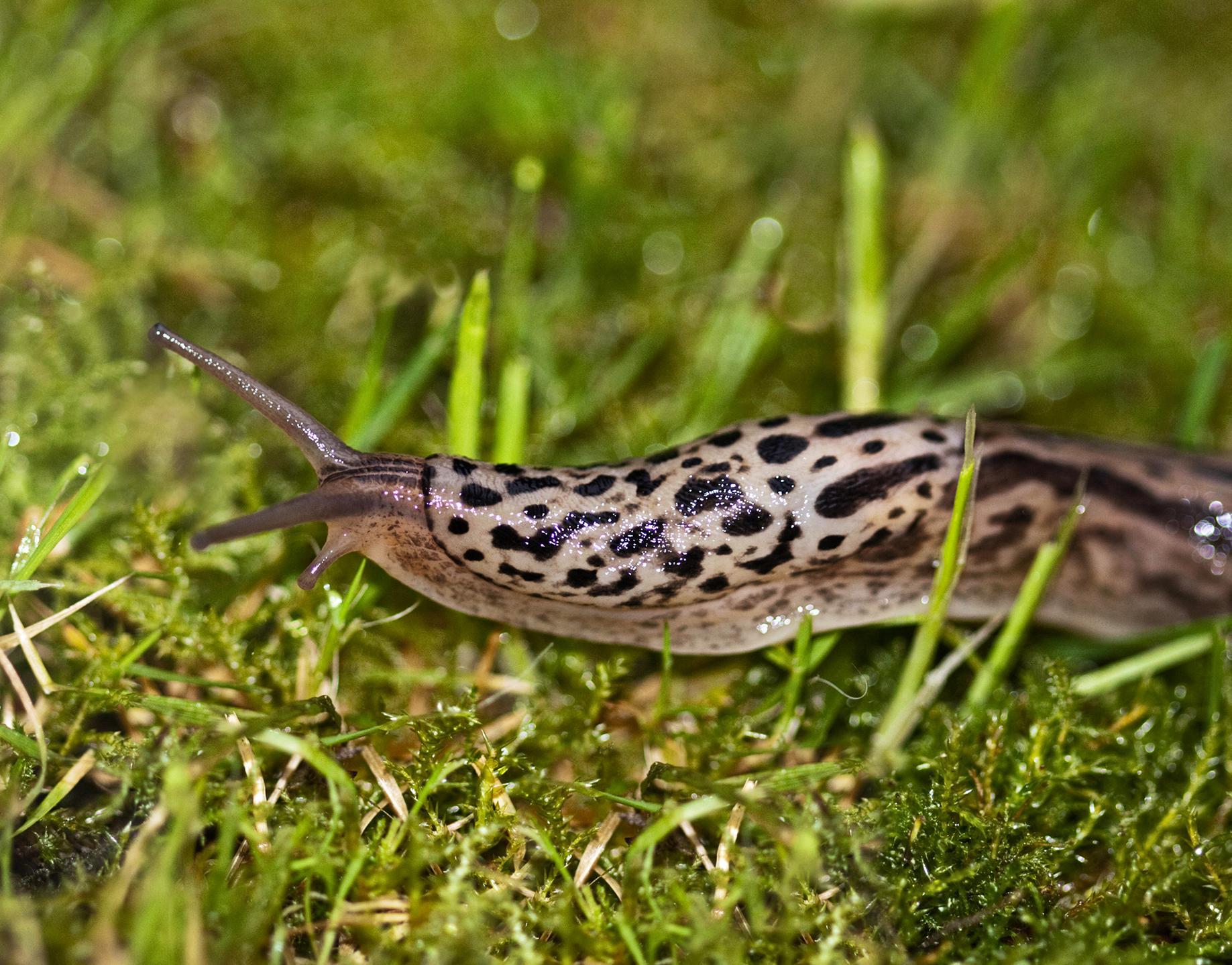 The rule of sixty | Hephzibah Anderson | The Critic Magazine