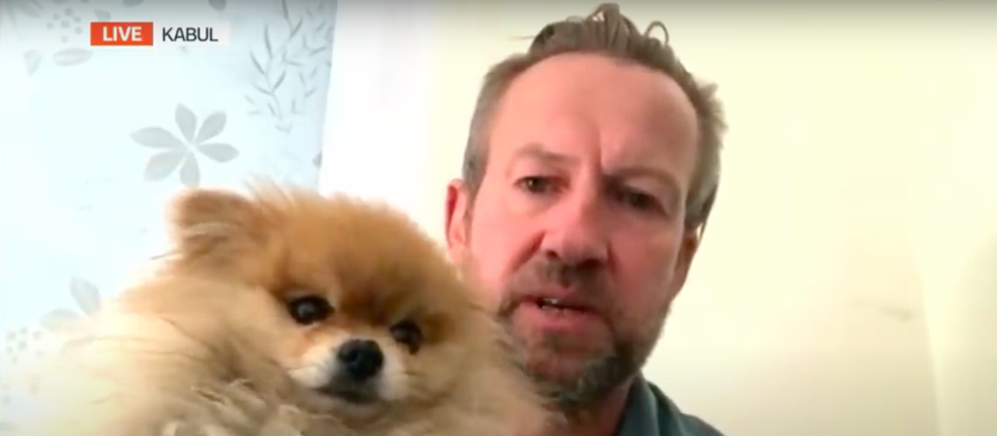 Pet Mischief | Henry Hill | The Critic Magazine