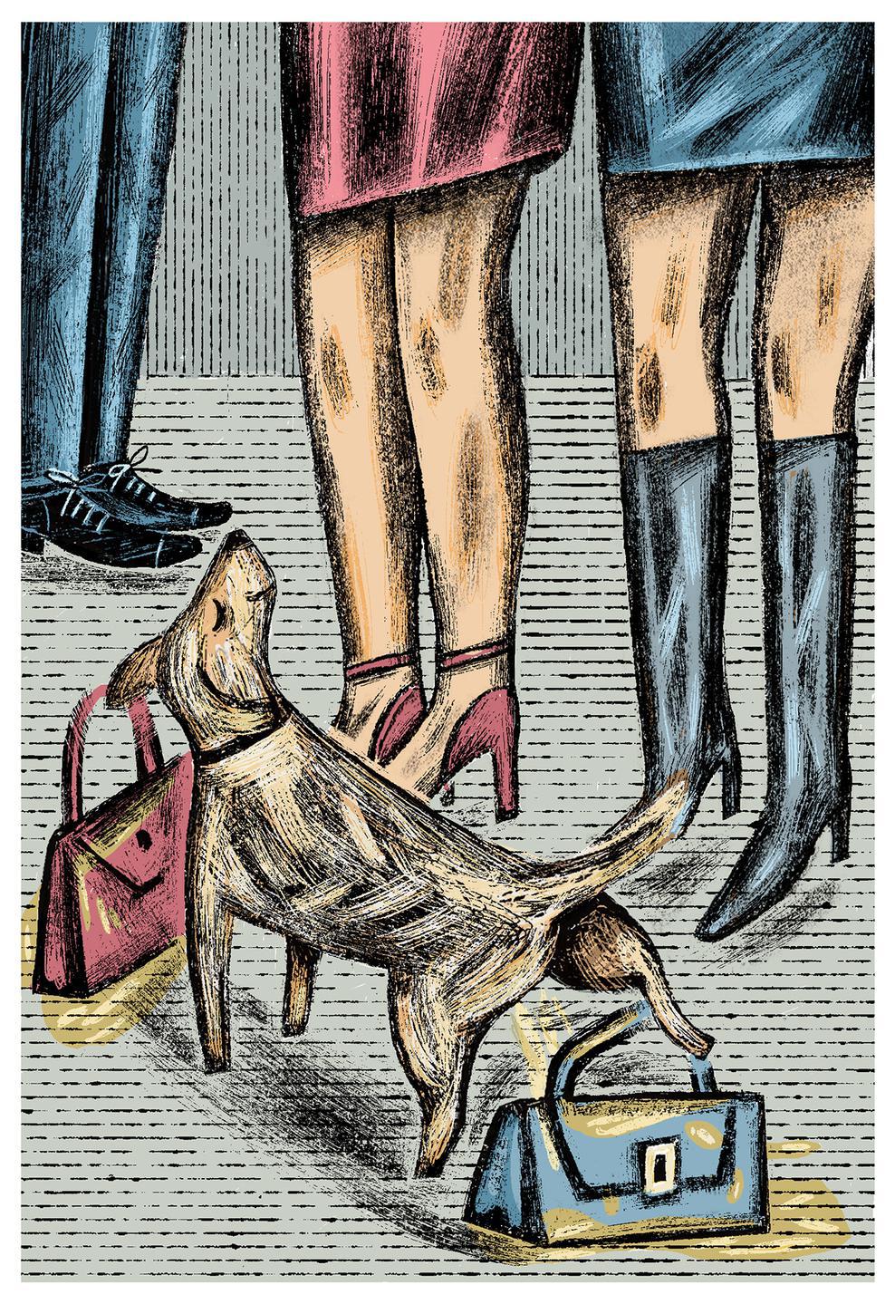Dilyn the Dog plays charades | Robert Hutton | The Critic Magazine