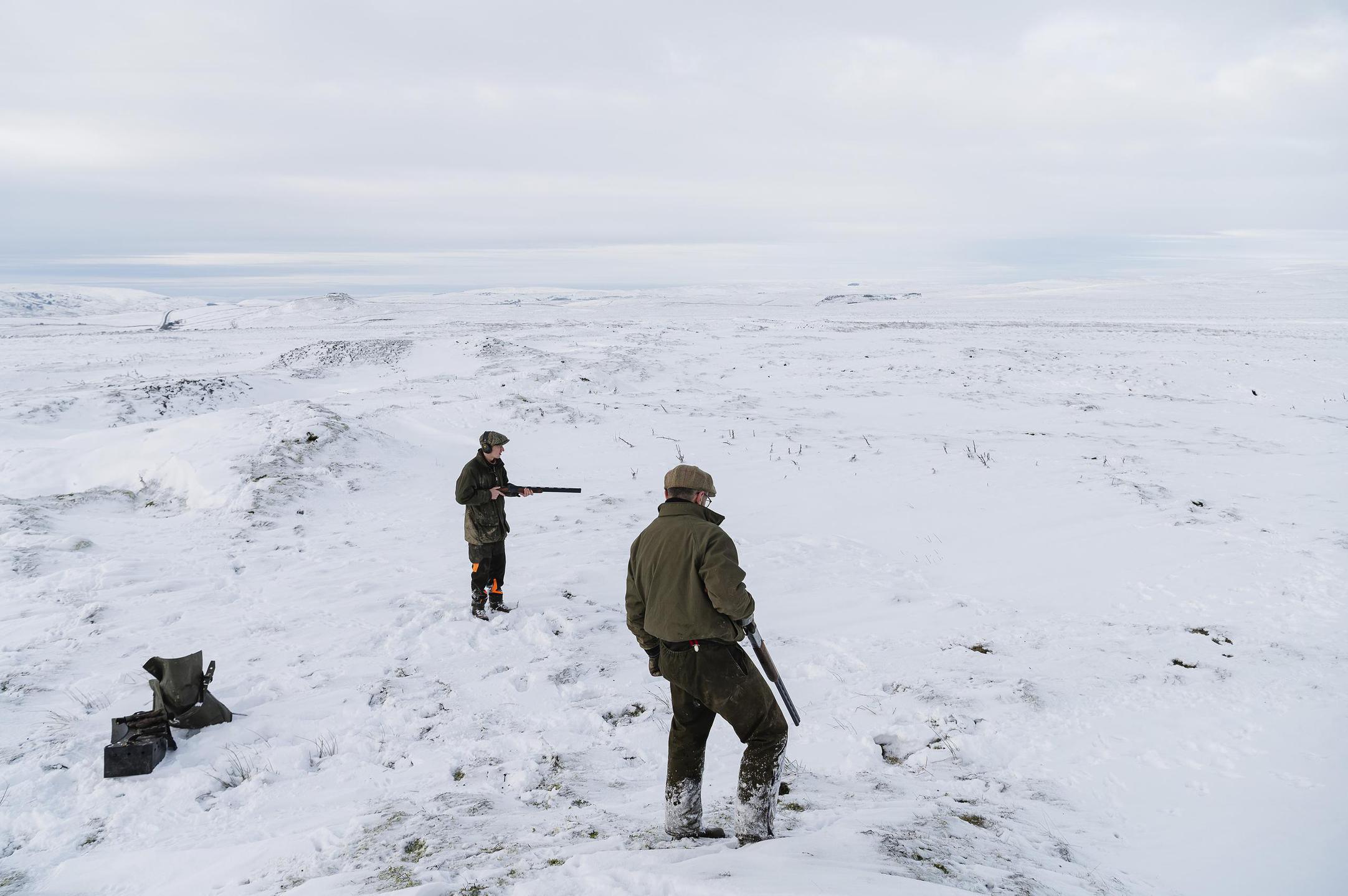 Ferreting baht’at | Patrick Galbraith | The Critic Magazine