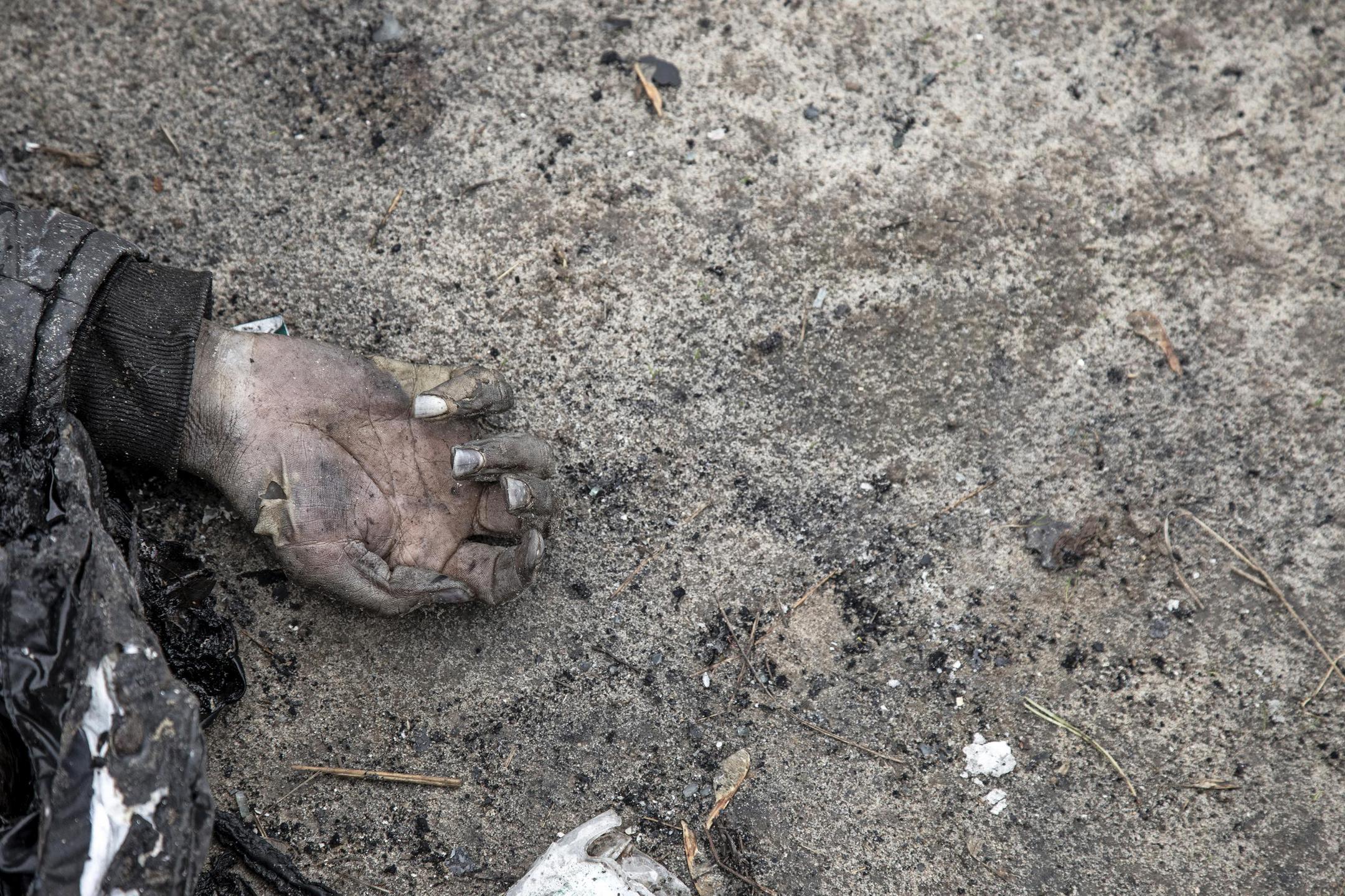 Otherworldly talents | Robert Meakin | The Critic Magazine