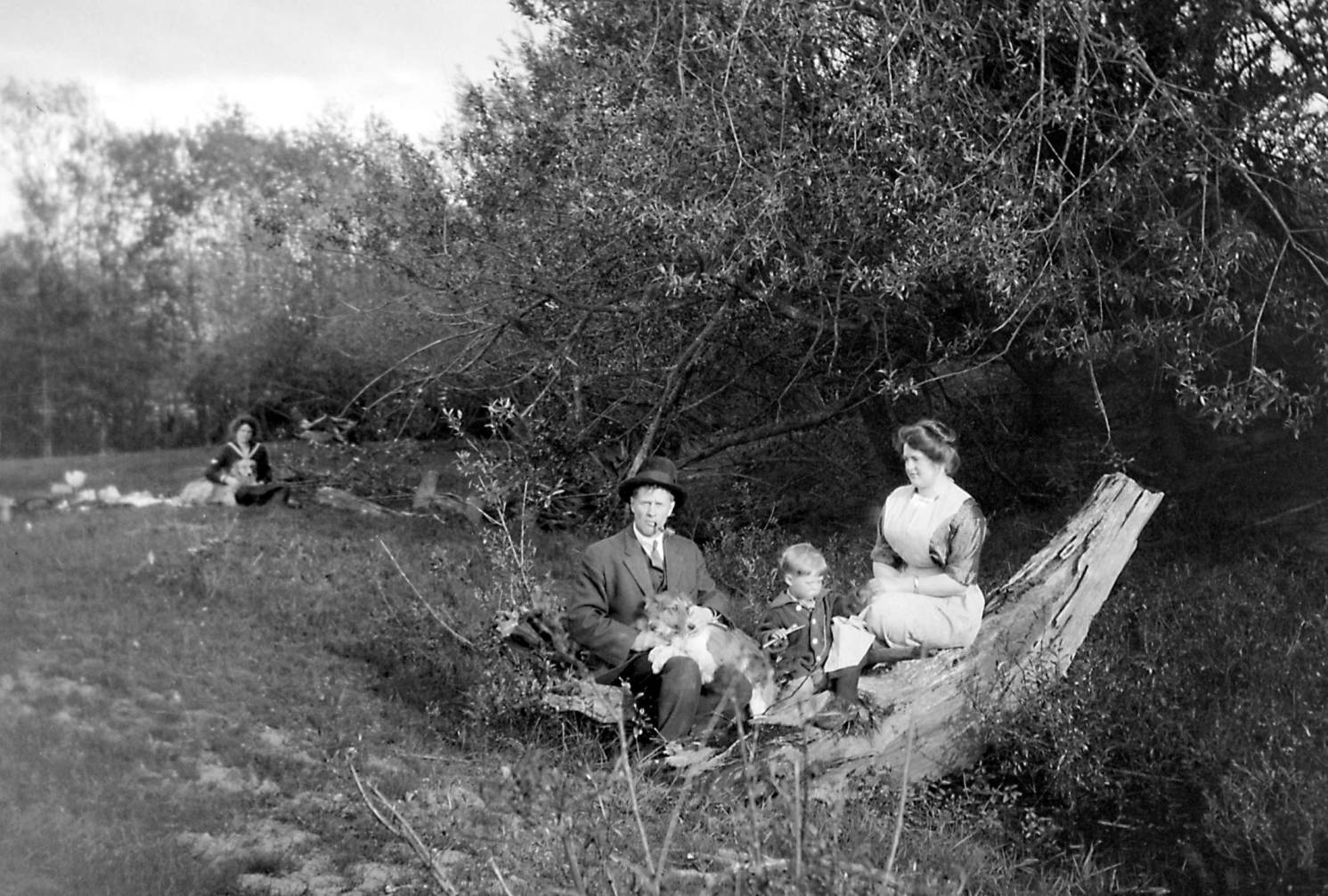 Tangled up in the myth of Dylan | Christopher Bray | The Critic Magazine