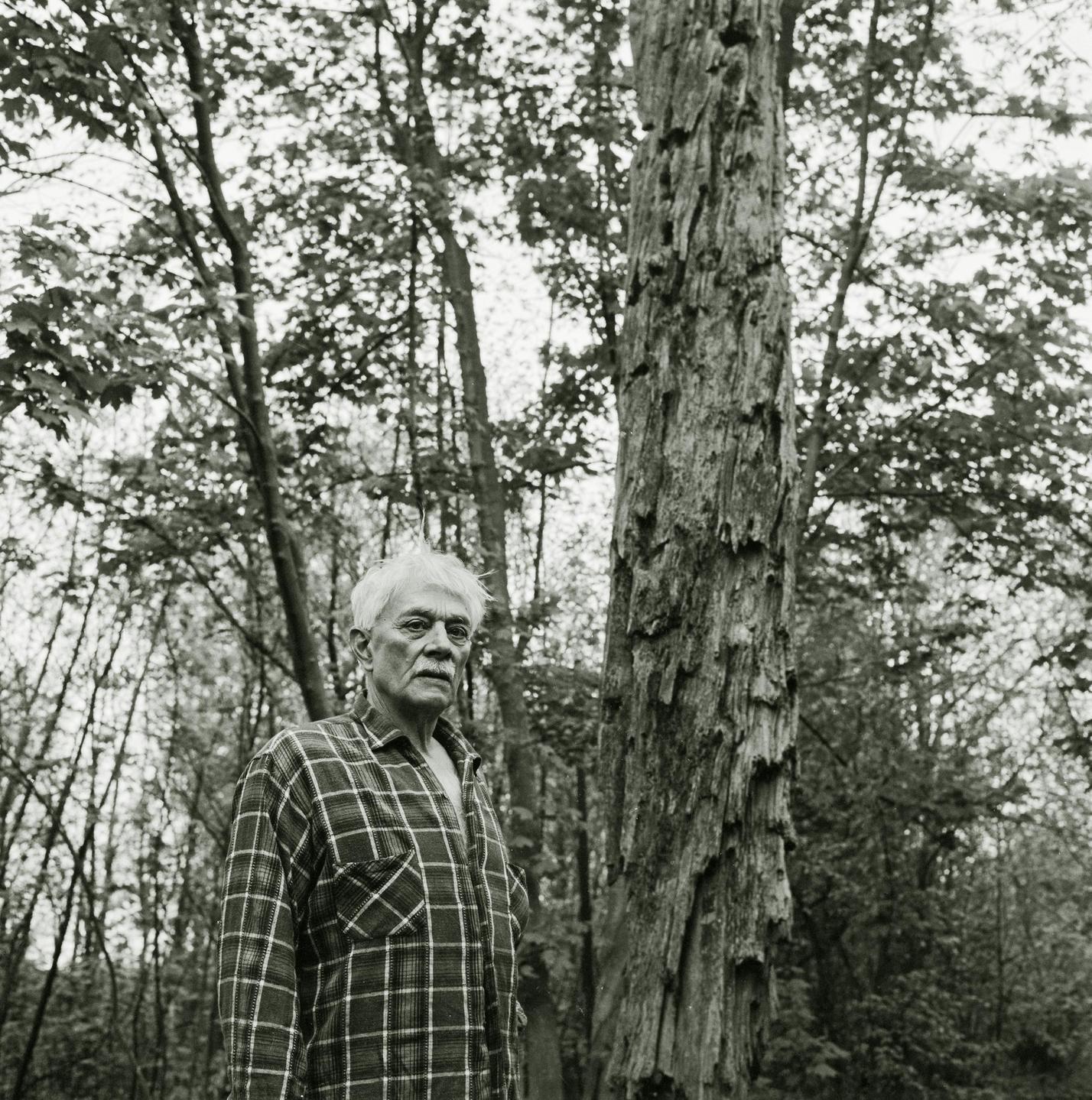 Author: Richard Negus | The Critic Magazine