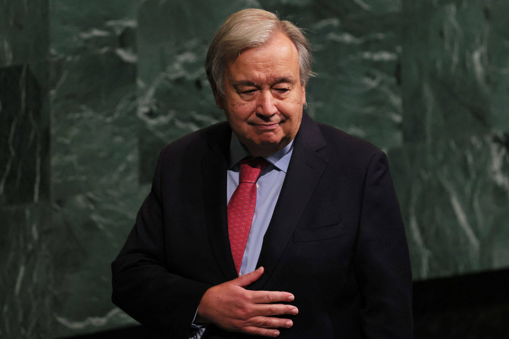 A world of hurt | David Smith | The Critic Magazine