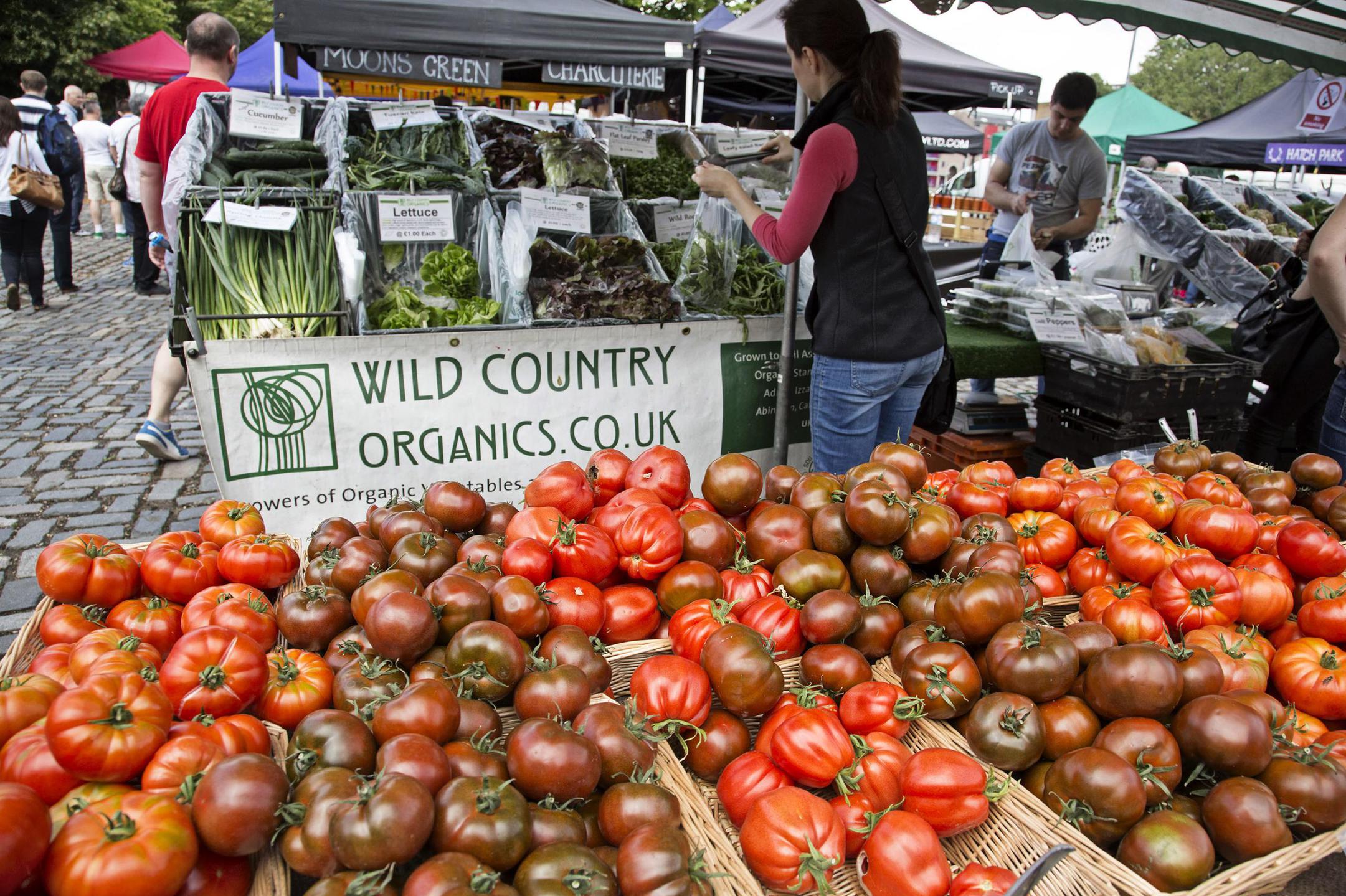 Mugged by a mud-caked spud | Julie Bindel | The Critic Magazine