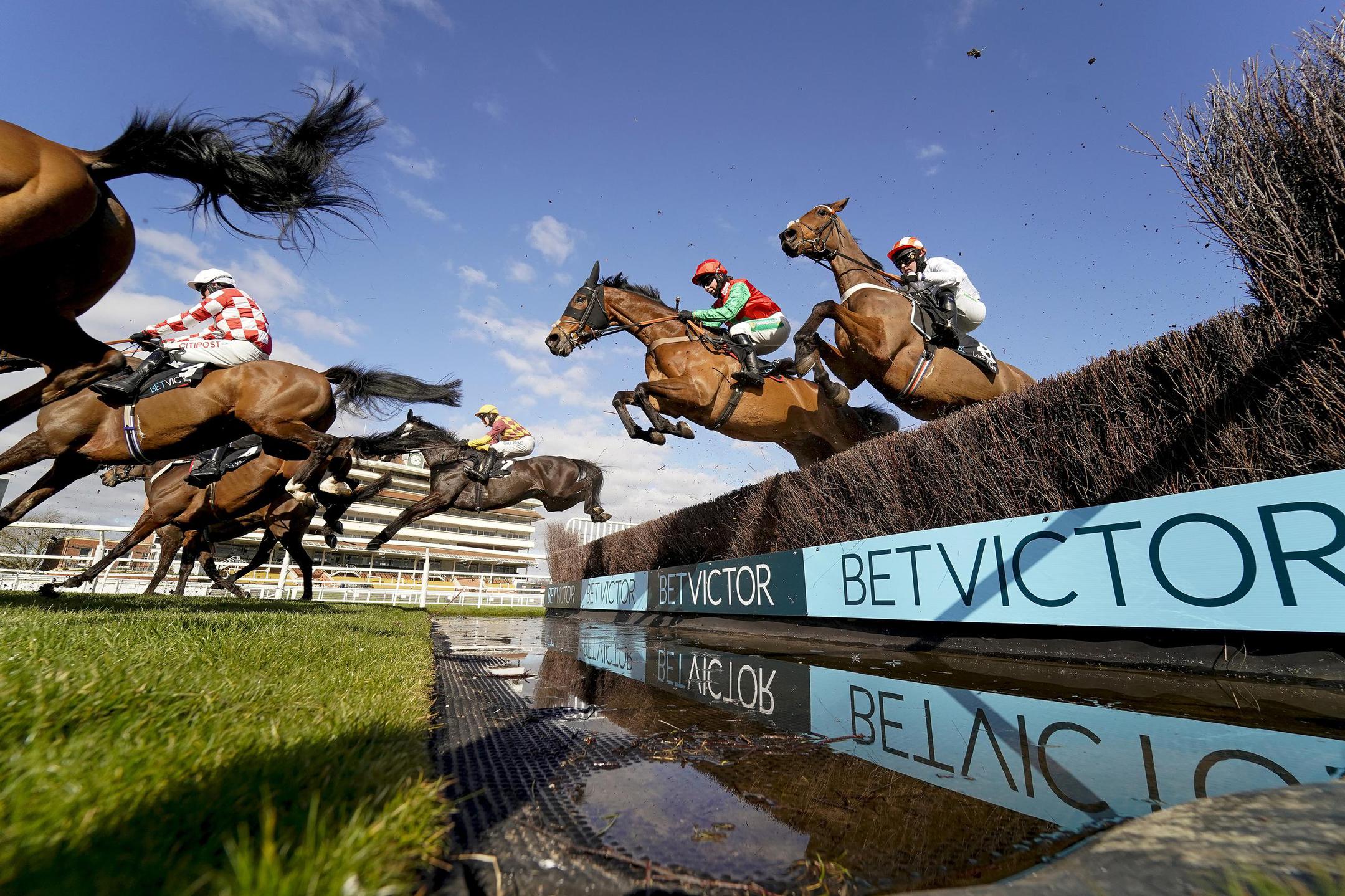 Blinkered vision | Stephen Pollard | The Critic Magazine