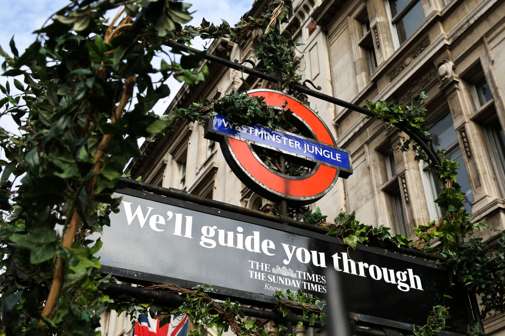 The childishness of grown-ups | Anthony Bowles | The Critic Magazine