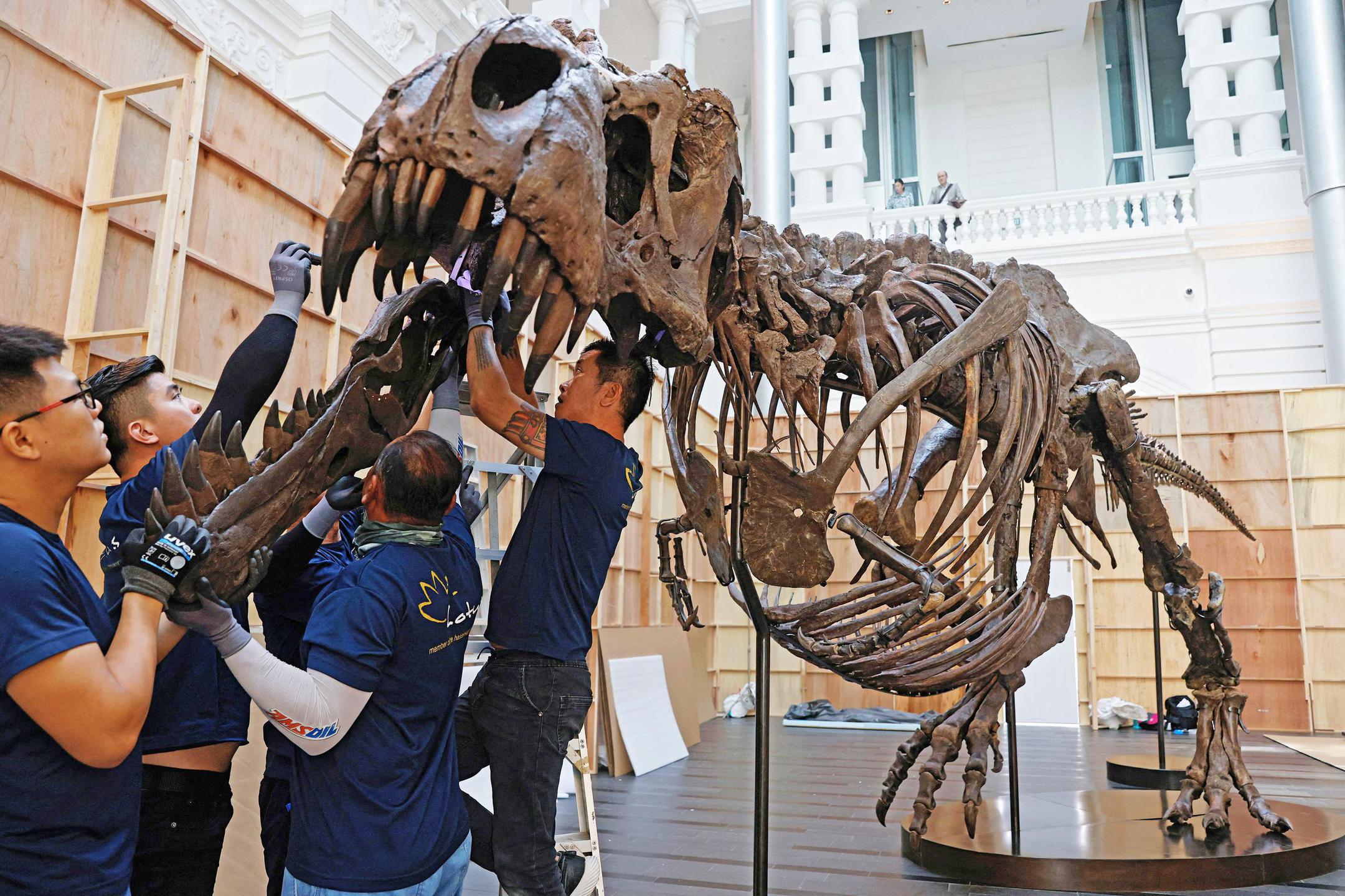 Behind the scenes at the museums | Michael Prodger | The Critic Magazine