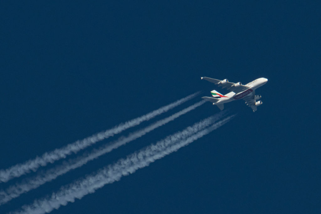 Author: Ben Sixsmith | The Critic Magazine