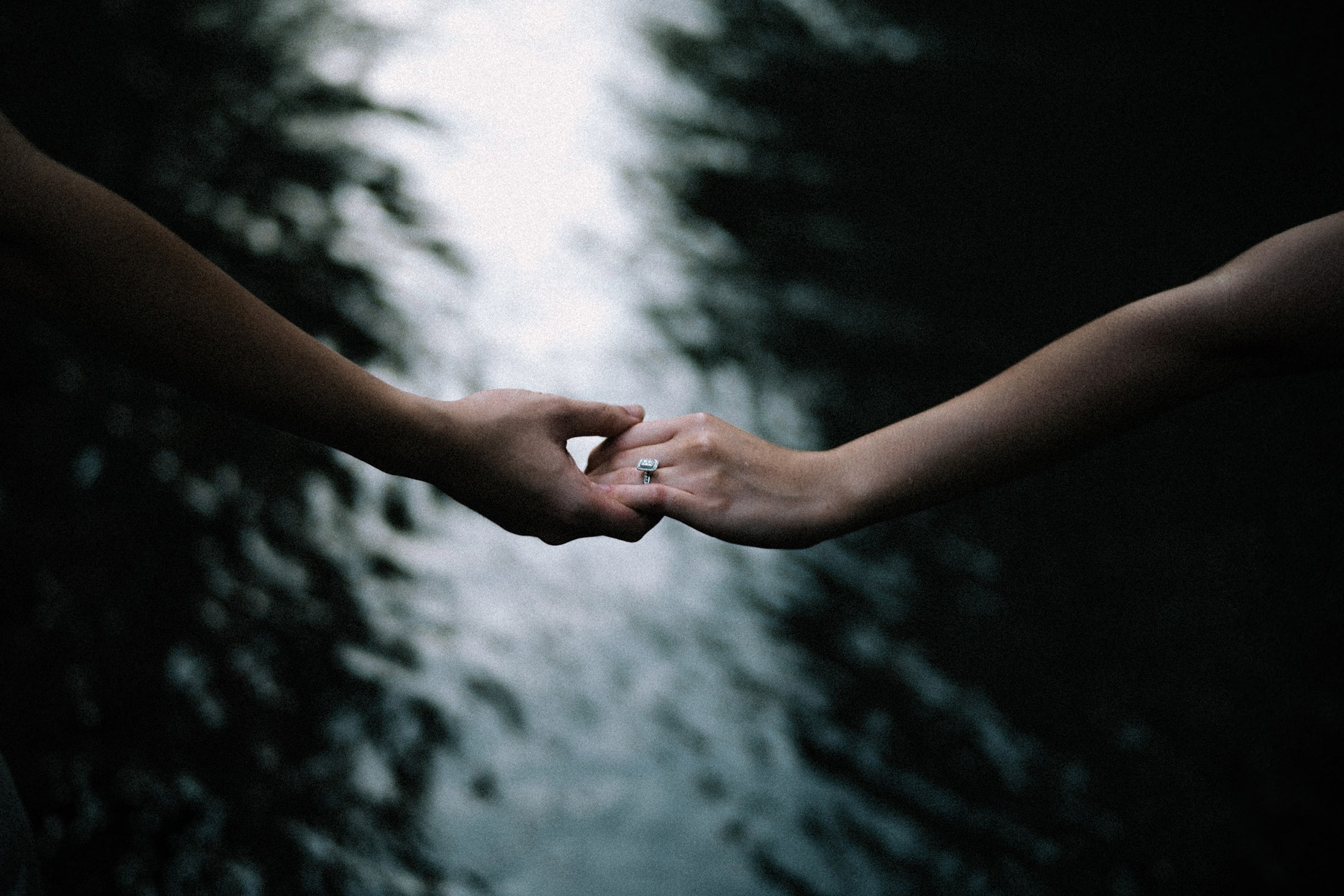 Author: Fleur Elizabeth Meston | The Critic Magazine