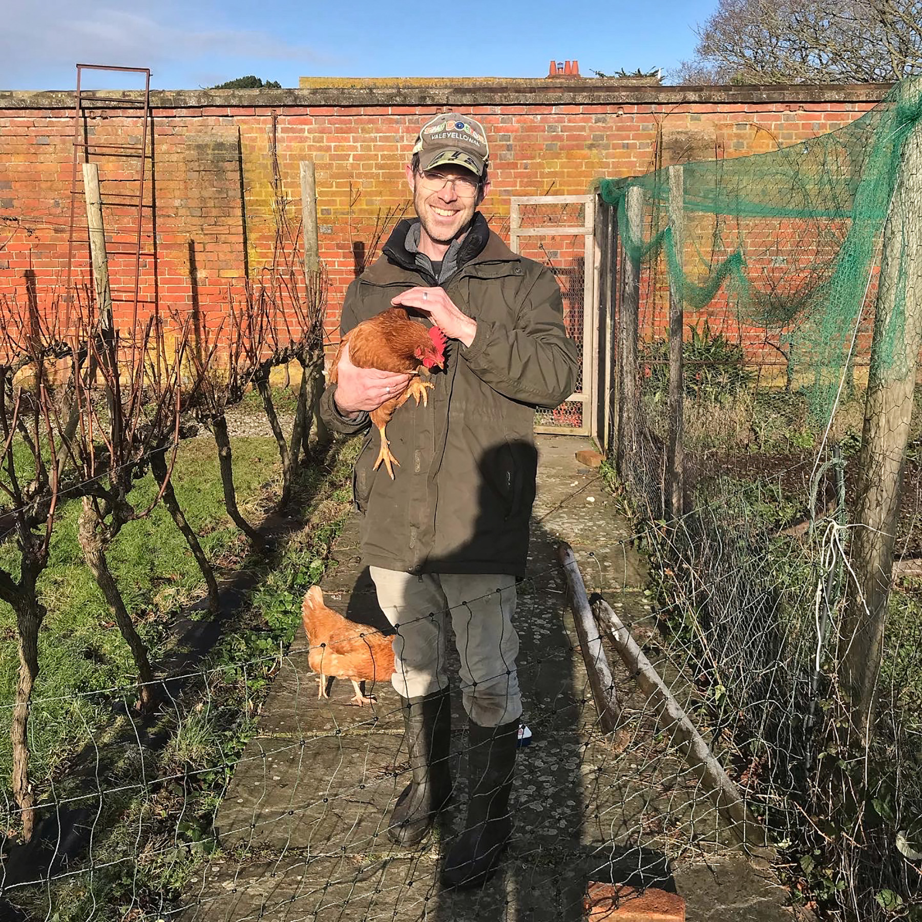 The wines of Israel | Henry Jeffreys | The Critic Magazine