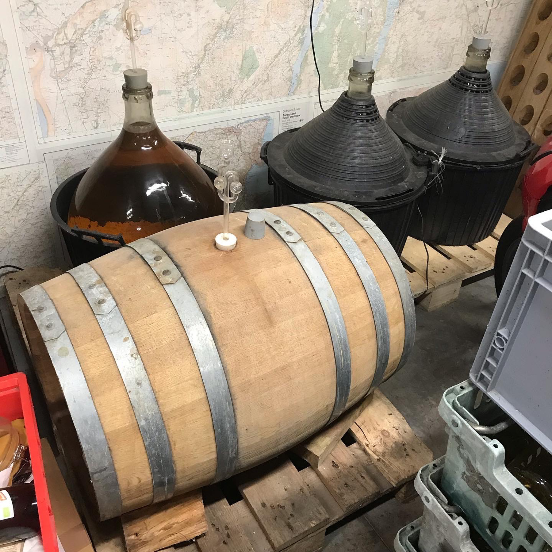 Walled garden wines | Henry Jeffreys | The Critic Magazine