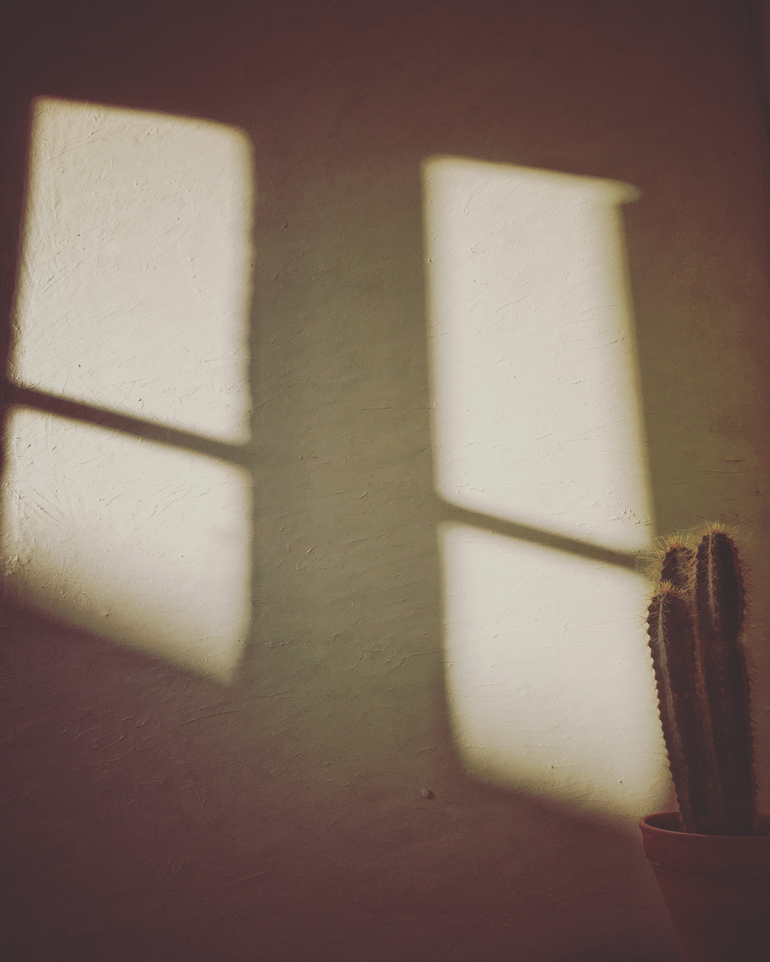 The Boris cult lives on | Alys Denby | The Critic Magazine