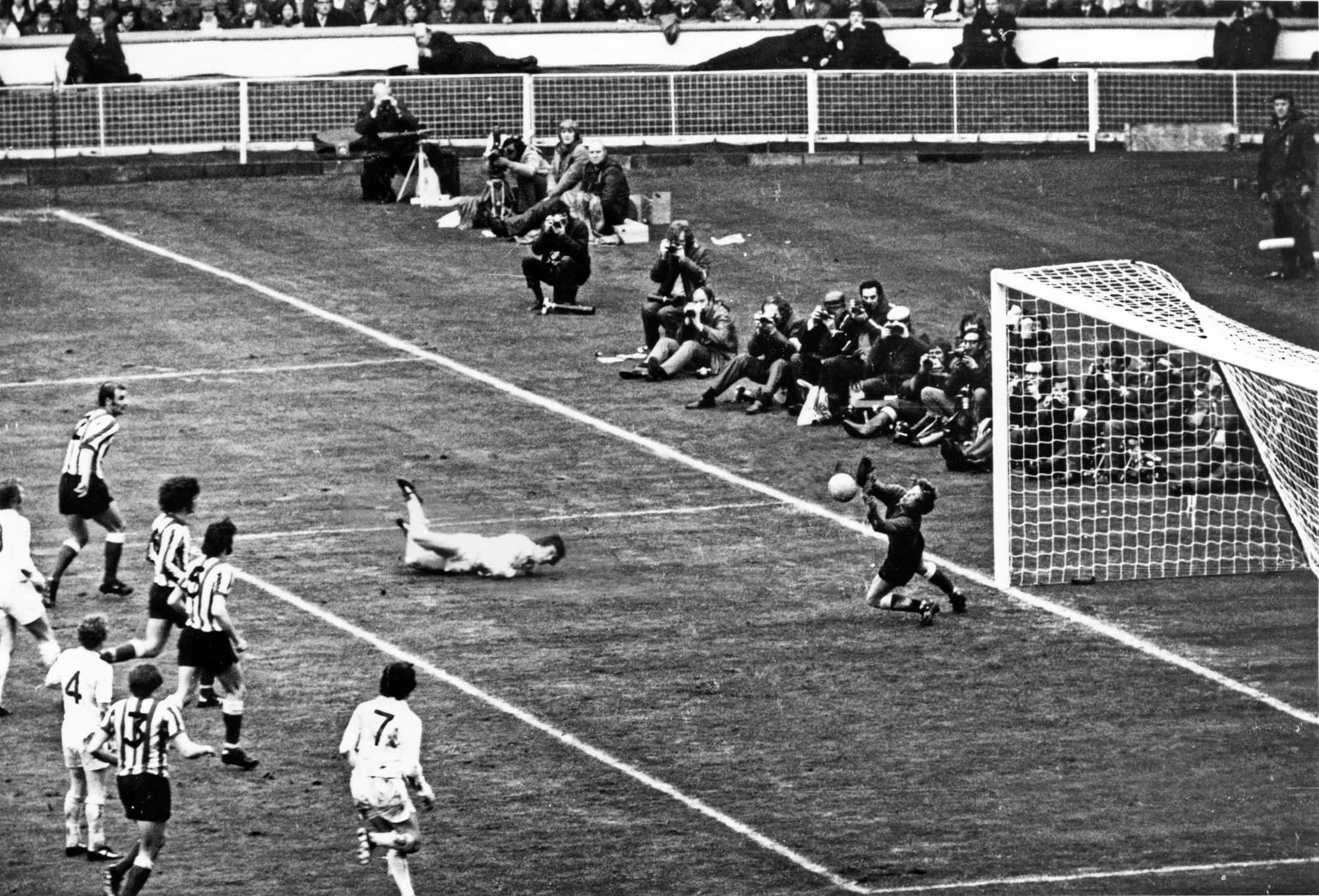 The most cheerful cup | Patrick Kidd | The Critic Magazine