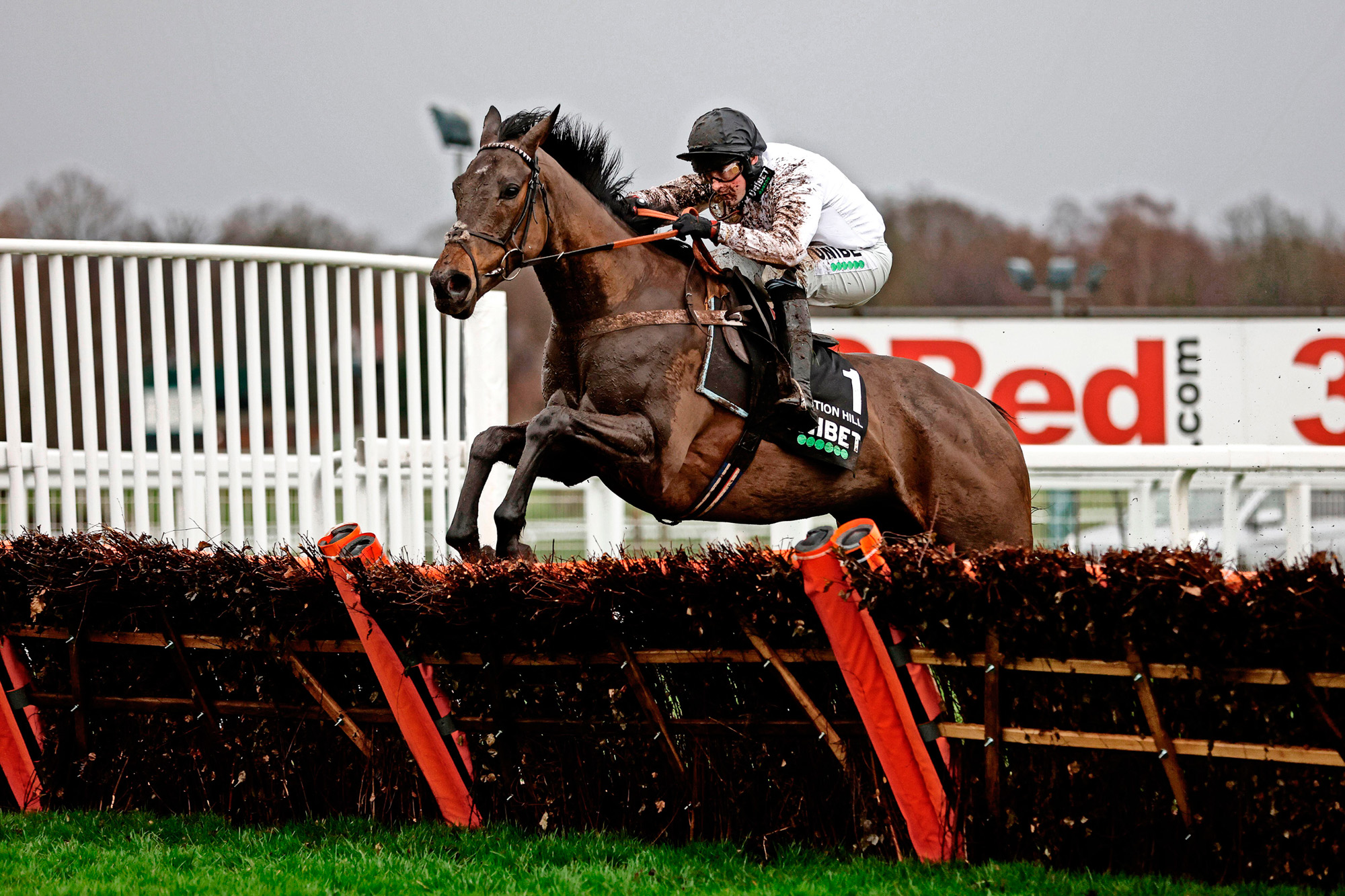 Constitutional row | Stephen Pollard | The Critic Magazine