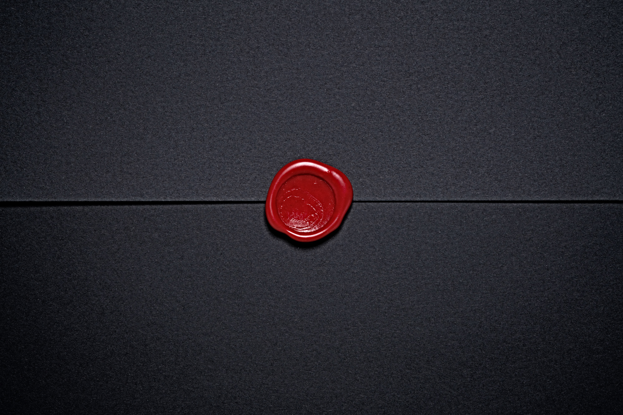 Marshalling India’s maharajahs | Richard Hopton | The Critic Magazine