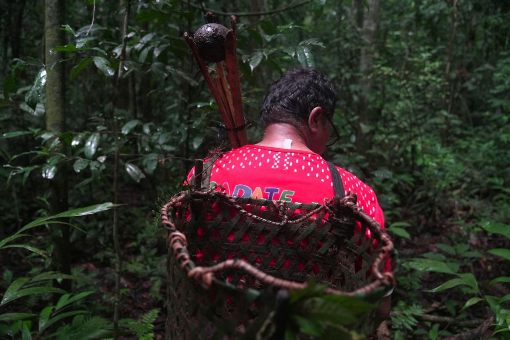 In search of El Dorado | David Smith | The Critic Magazine