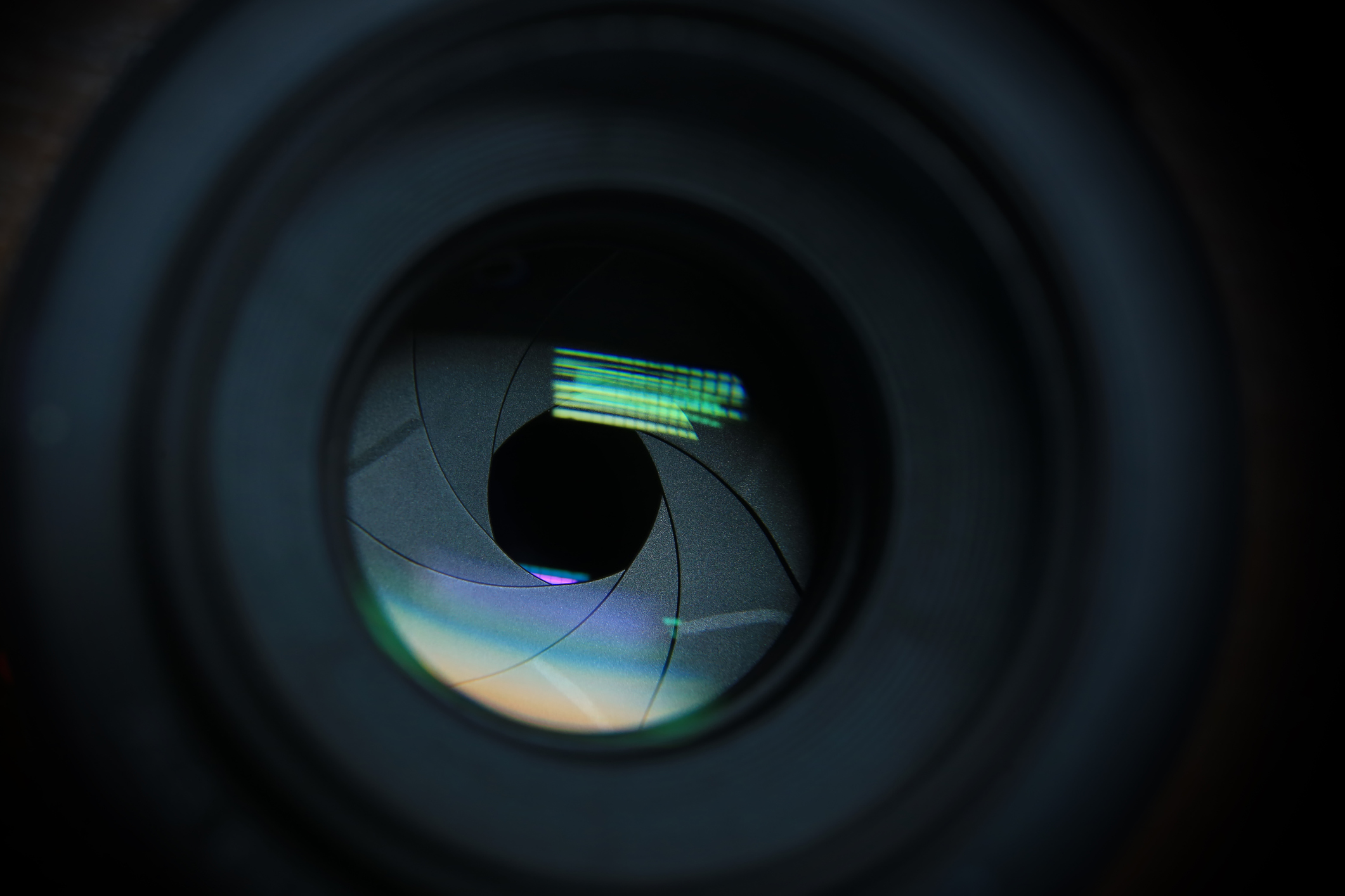 Blinkered vision | Stephen Pollard | The Critic Magazine