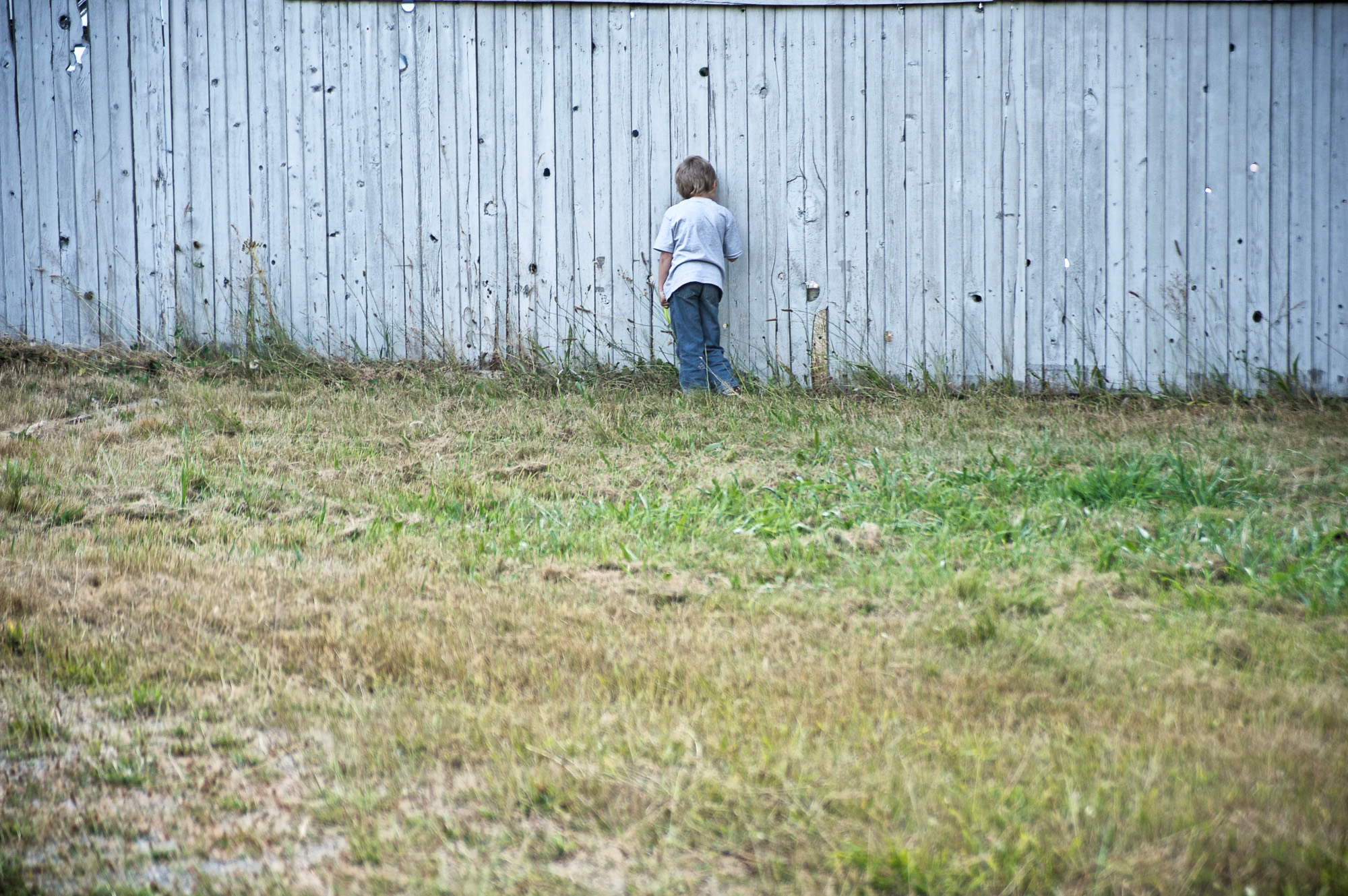 Scruton: Philosopher par excellence | Anthony O’Hear | Critic
