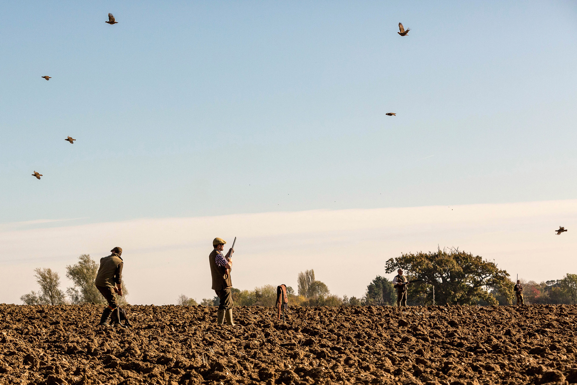 The true lie of the land | Richard Negus | The Critic Magazine