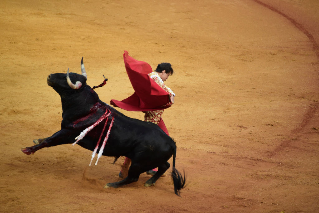 End of a bullfighting era | Christopher North | The Critic Magazine