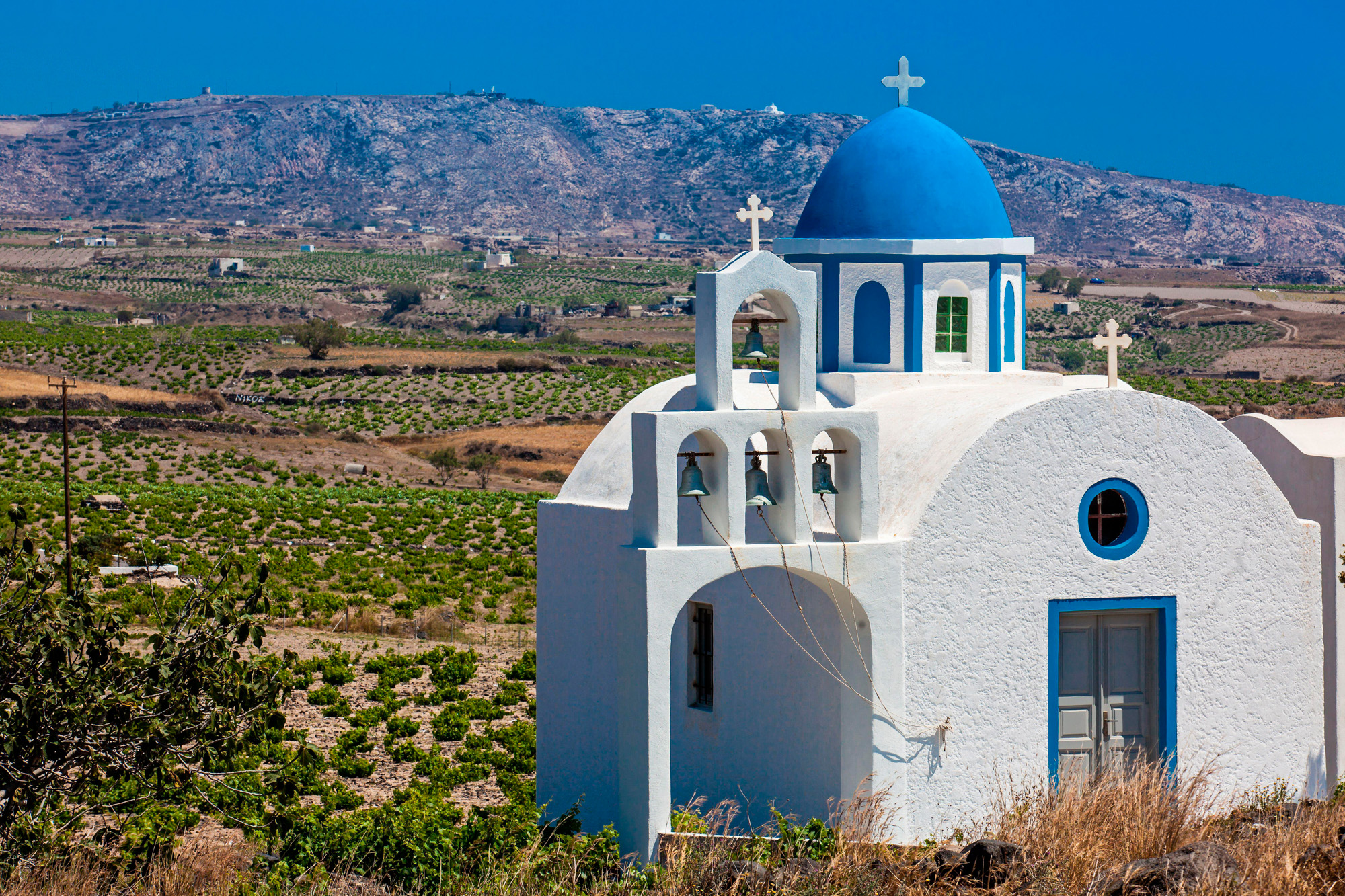 Burgundy on a budget | Henry Jeffreys | The Critic Magazine