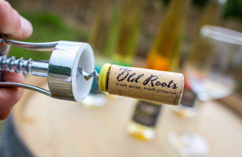 The Venice Architecture Biennale | Helen Barrett | The Critic Magazine