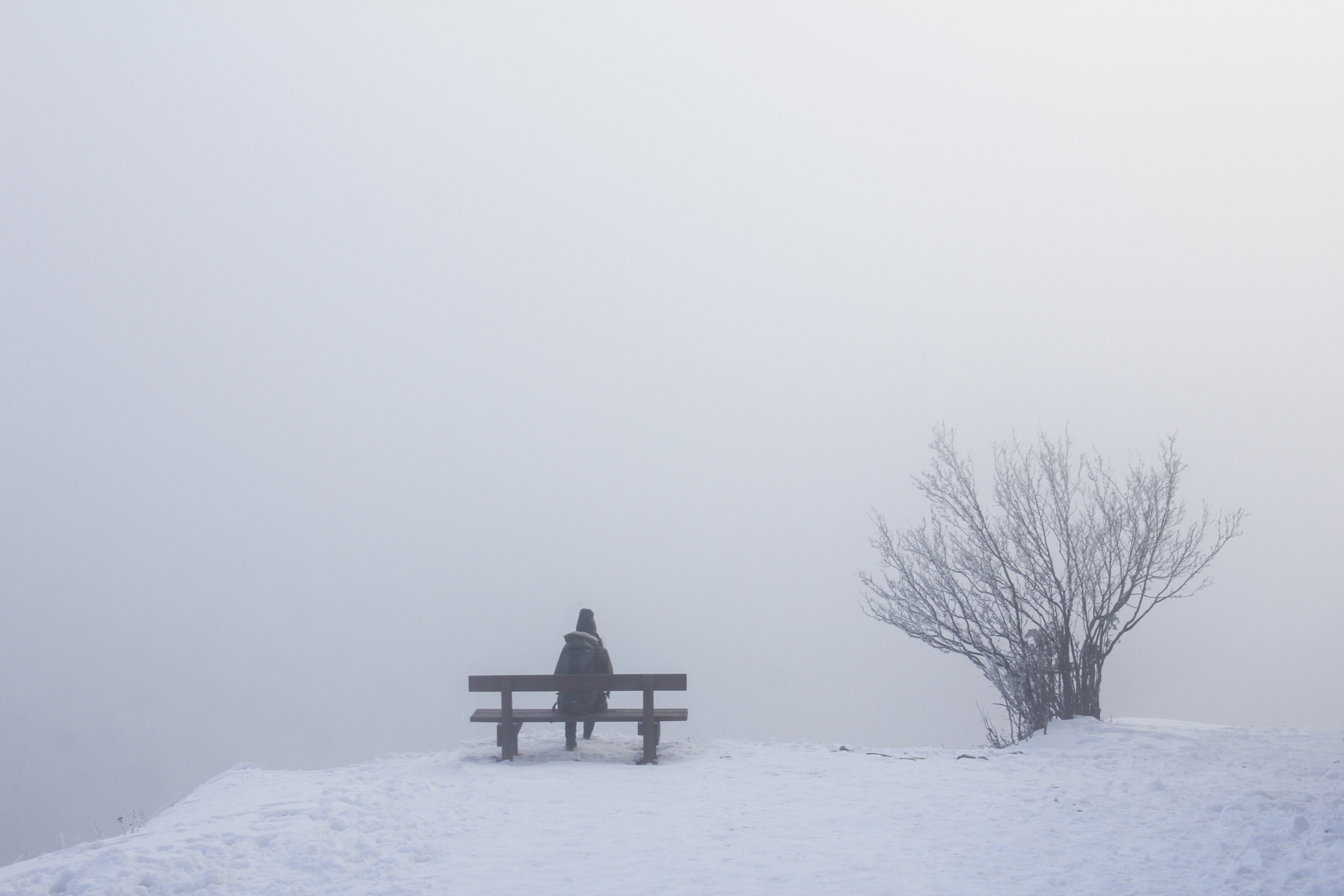 Otherworldly talents | Robert Meakin | The Critic Magazine