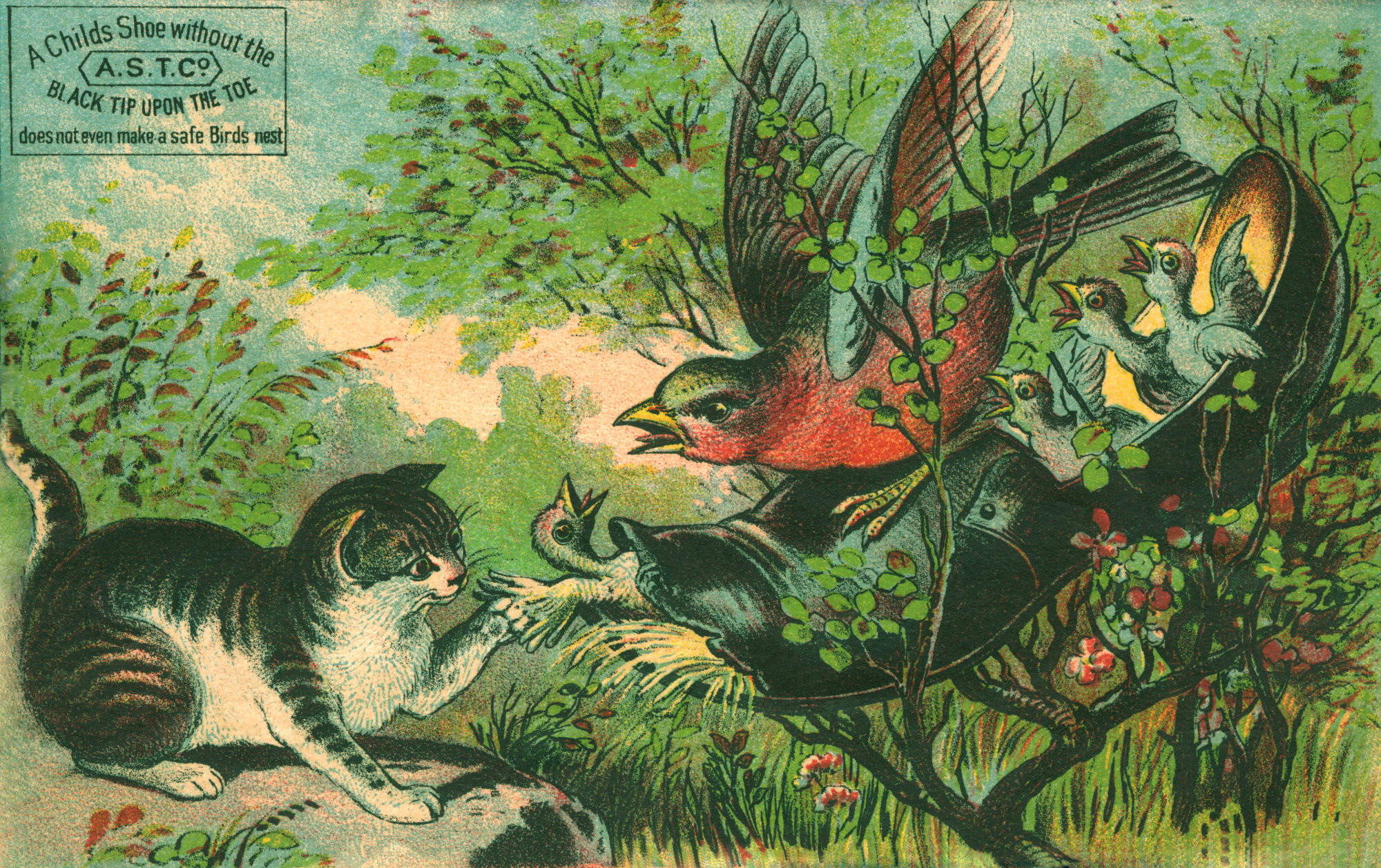 The big bang | Patrick Galbraith | The Critic Magazine