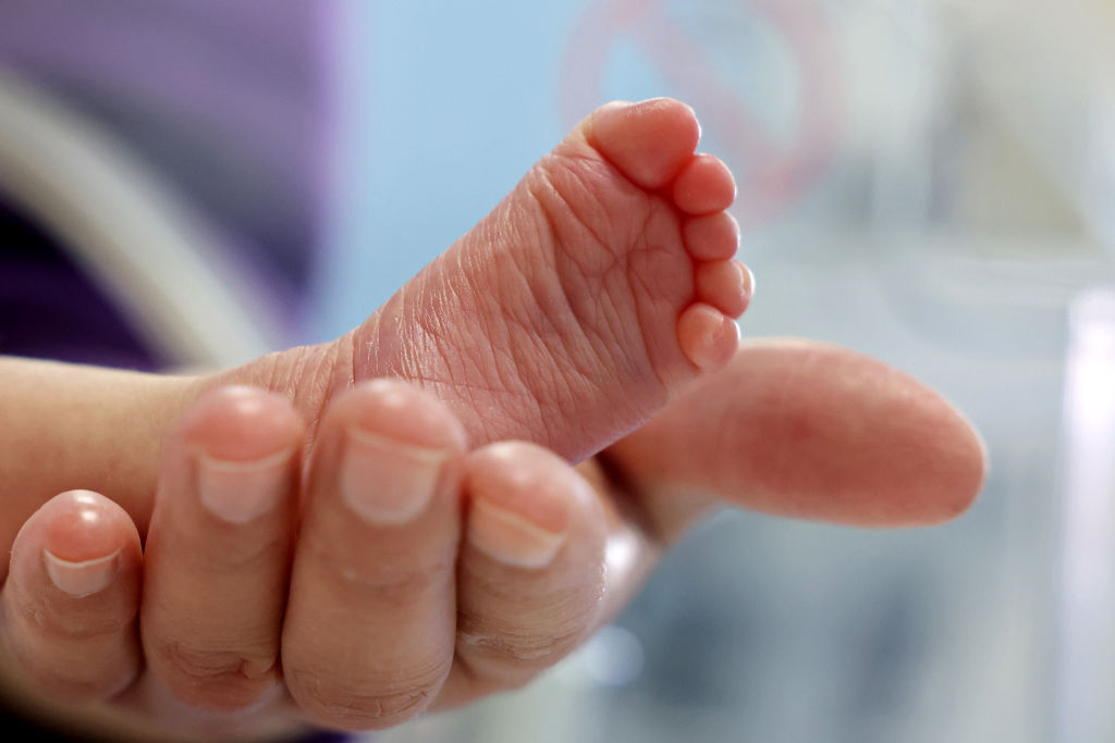 Author: Ryan Shorthouse | The Critic Magazine