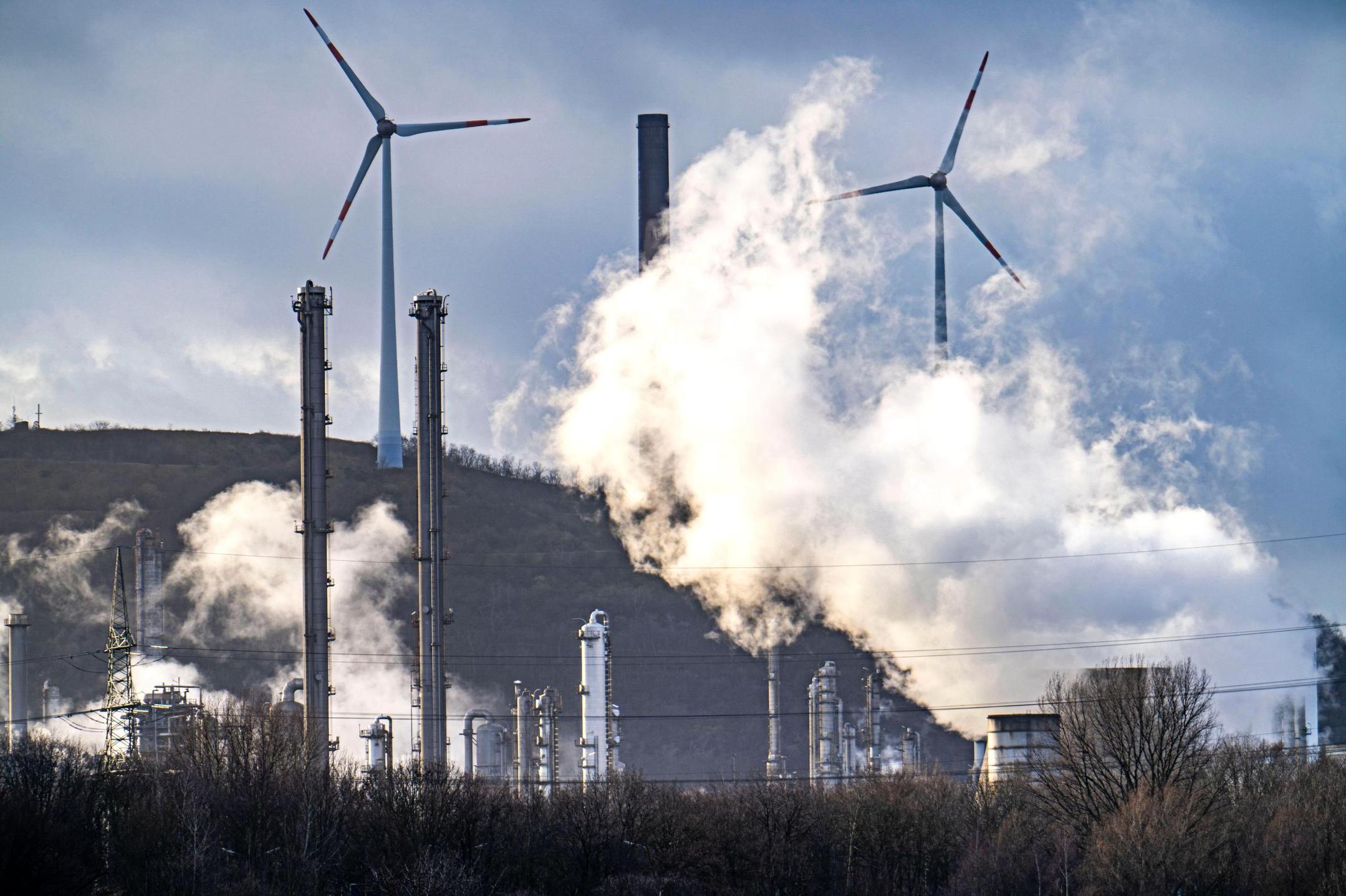 Author: Bethel McGrew | The Critic Magazine