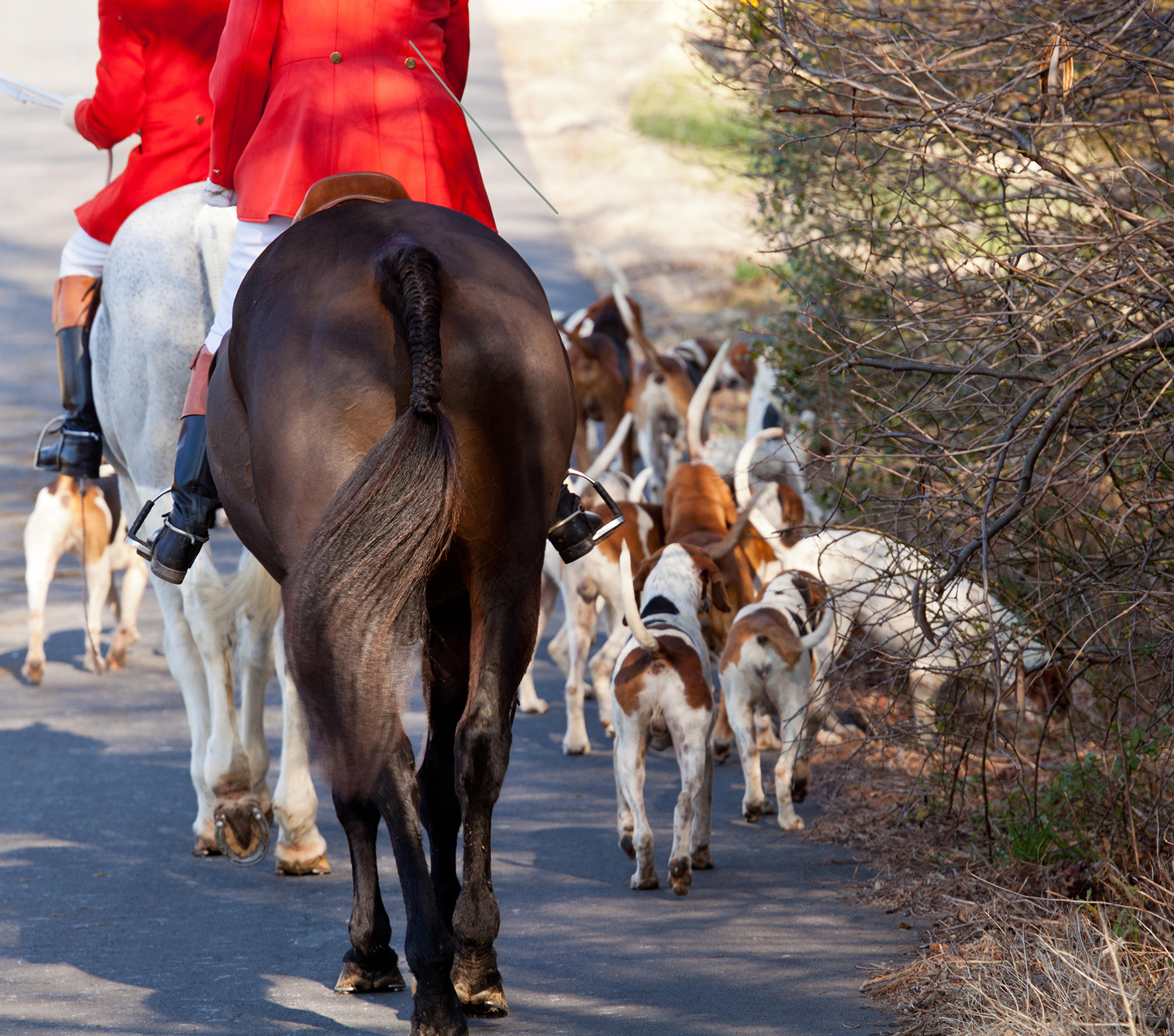 Author: Charlie Bentley-Astor | The Critic Magazine