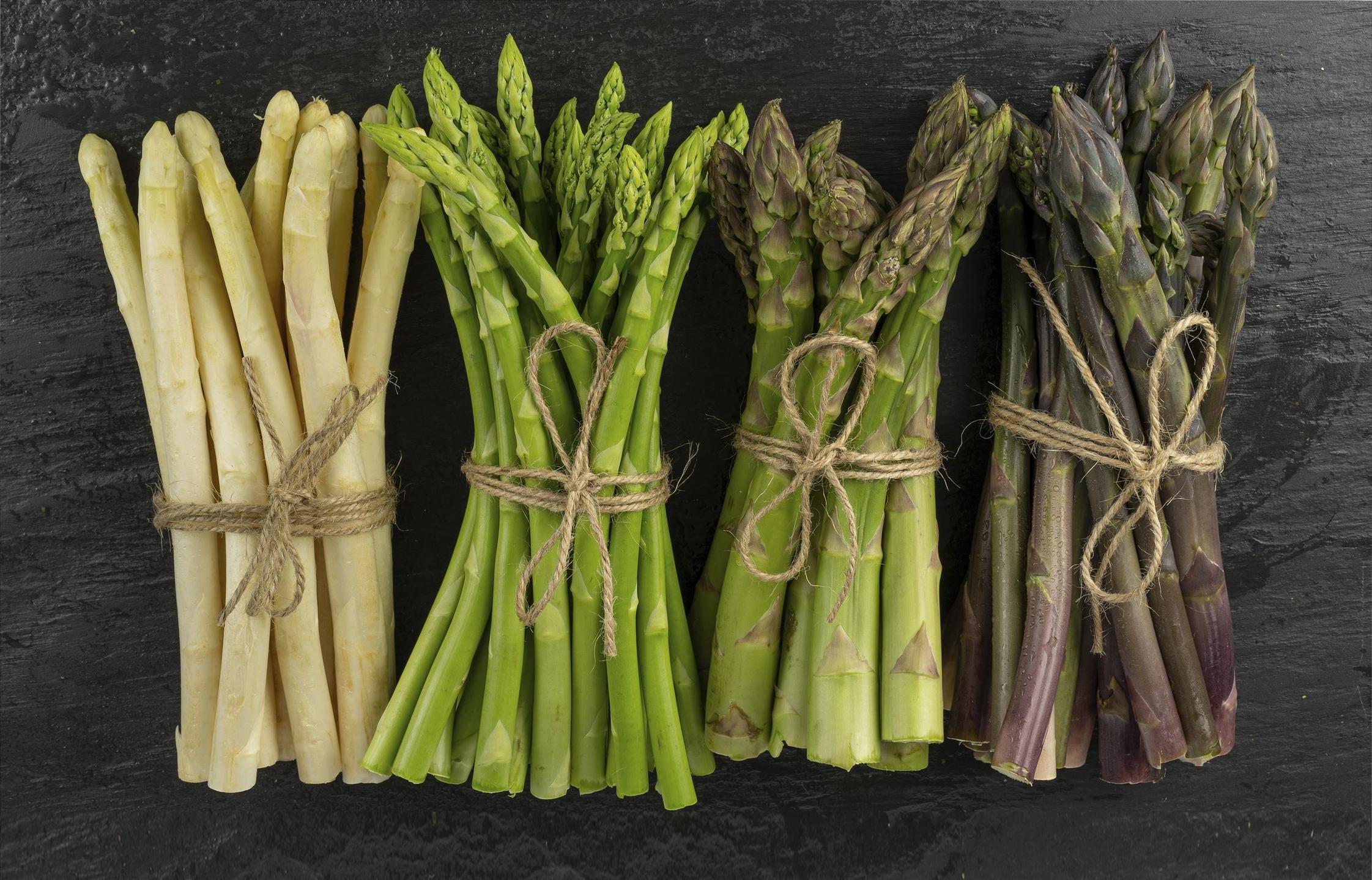 Author: Helen Joyce | The Critic Magazine