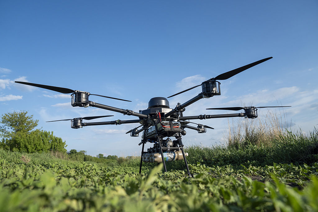 The peace plans of Narnia | Peter Caddick-Adams | The Critic Magazine